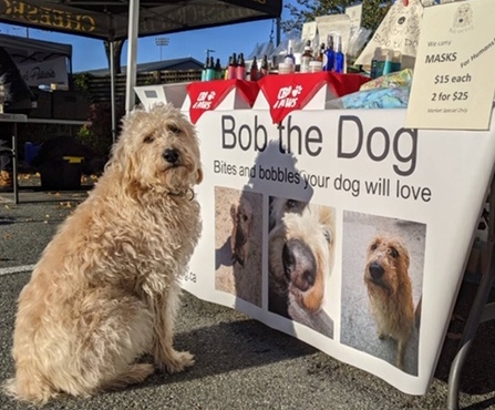 Alberta | Bob The Dog